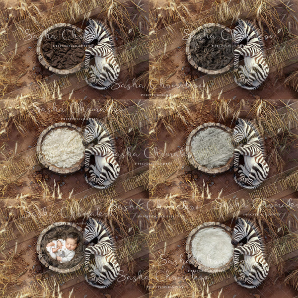 Digital background overhead zoo wild animals Ai generated zebra – www ...