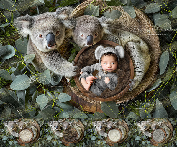 Digital background overhead zoo wild animals Ai generated koala – www ...