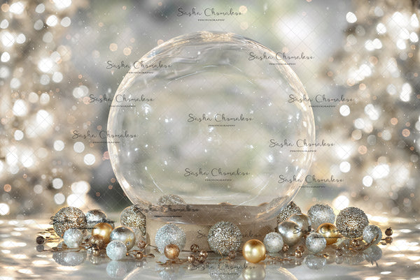 Digital Backdrop – www.sashachomakovphotography.com